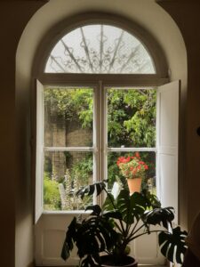 Understanding the Window of Tolerance: A Trauma-Informed Guide to ...
